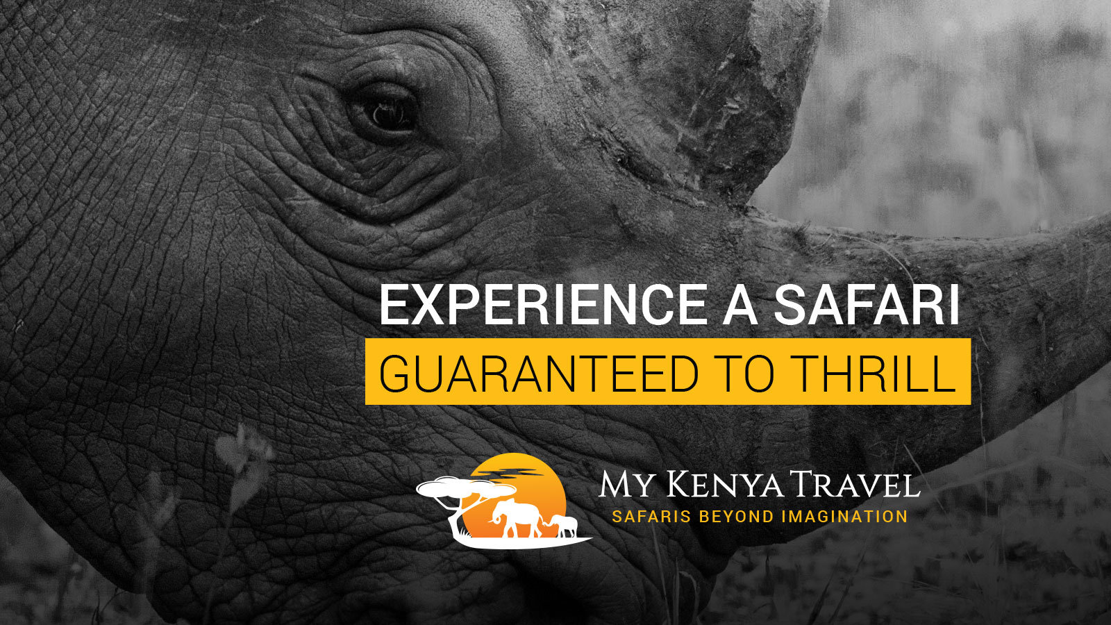 Experience a Kenya Safari Guaranteed to Thrill - My Kenya Travel